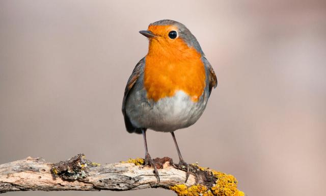 Welkom bij Scildon | Fijn dat je voor ons hebt gekozen! | Scildon